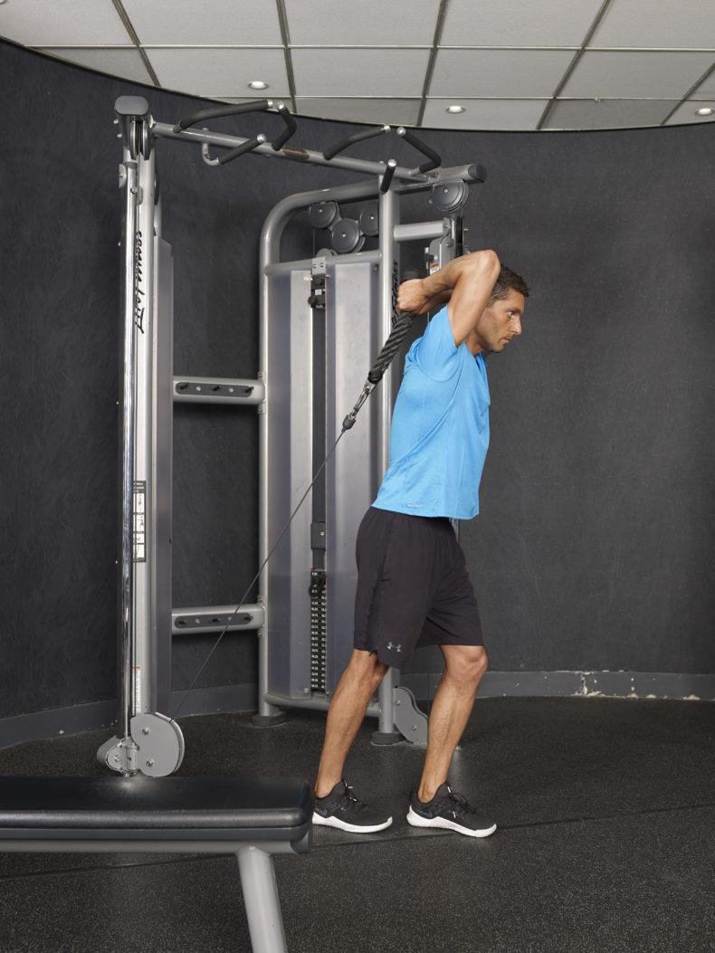 How to get bigger arms