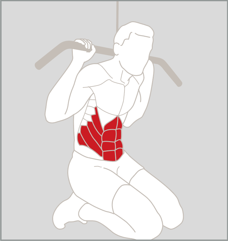 How to get six pack abs