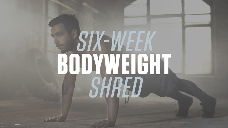 Club New Body Plan: Your Exclusive Training Programs