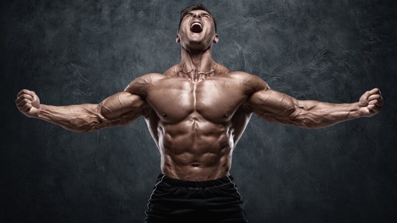 Everything you need to know about anabolic steroids